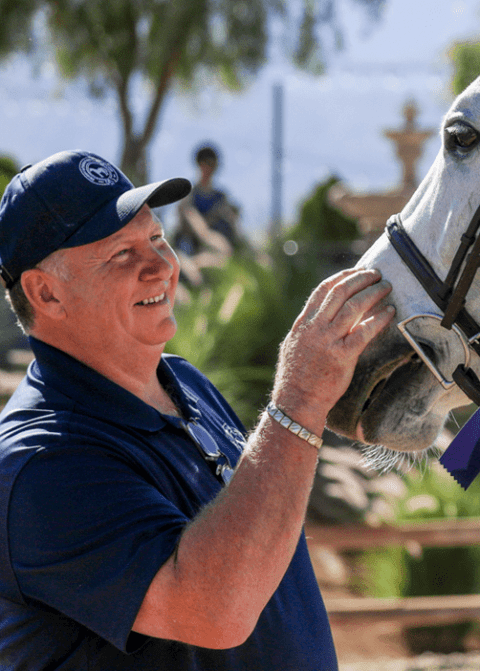 About | Desert International Horse Park