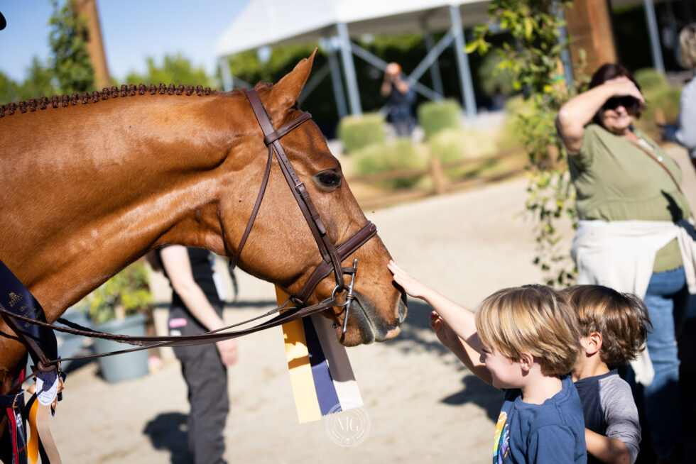 Facility Tours | Desert International Horse Park