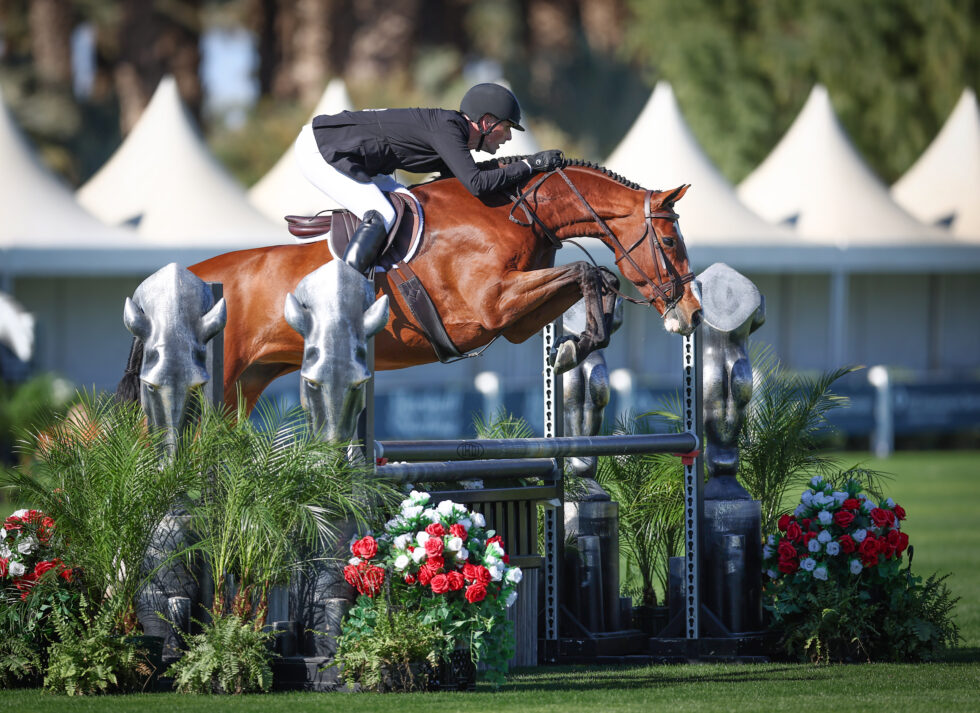 News | Desert International Horse Park