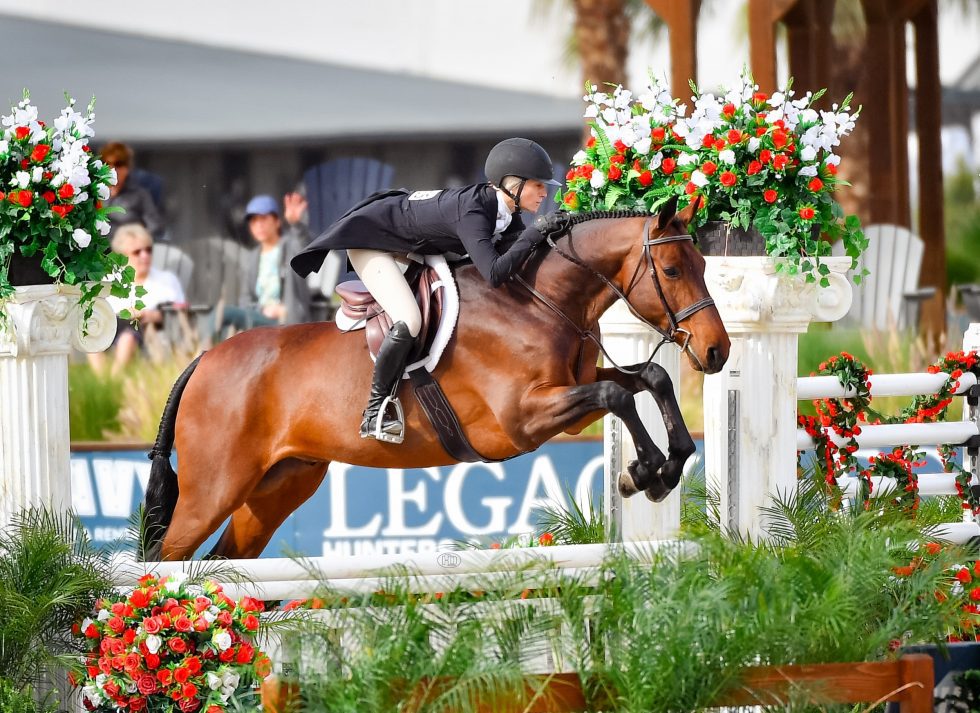 Katie Gardner and Dark Harbor Shine Bright in $10,000 Sea Horse Riding ...